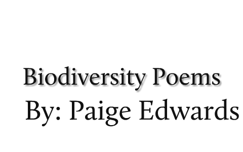 biodiversity poems by paige edwards on Prezi