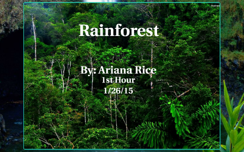 Rainforest by Ariana Rice on Prezi