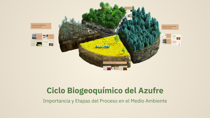 Ciclo Biogeoquímico del Azufre by carolina Amaro on Prezi