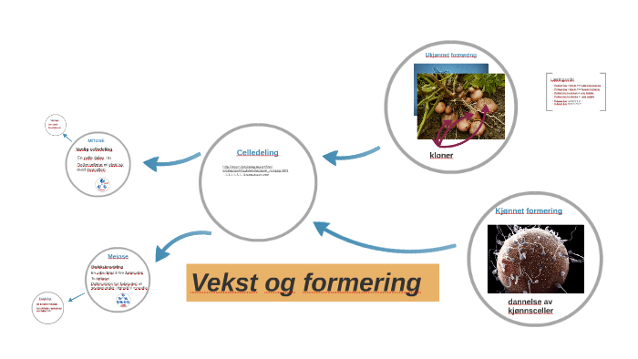 Vekst og formering by Helen Helbæk on Prezi