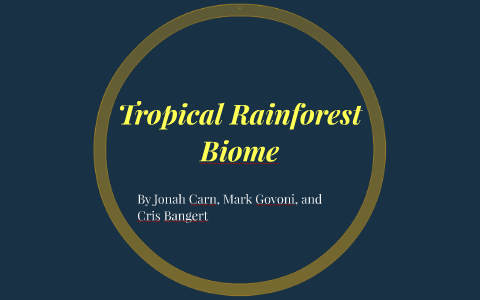 Tropical Rainforest Biome by Mark Govoni on Prezi