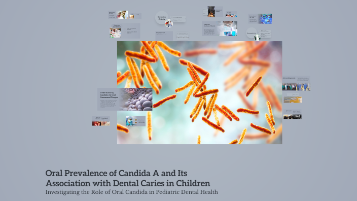 Oral Prevalence of Candida A and Its Association with Dental Caries in ...