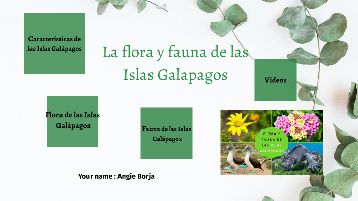 La flora y la fauna de las islas Galápagos by Angie Borja on Prezi