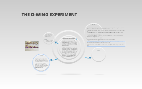 THE O-WING EXPERIMENT by kim anthony on Prezi
