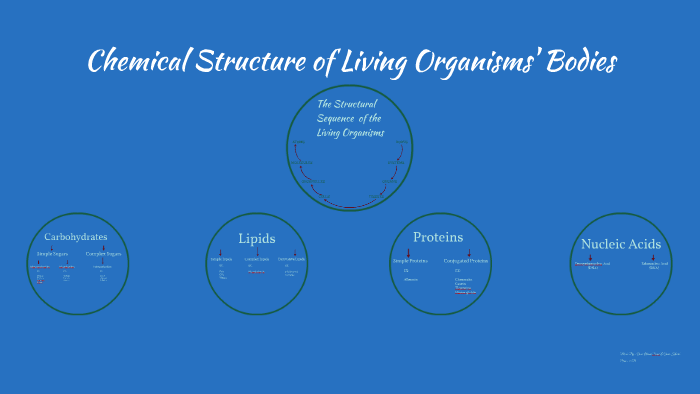 Chemical Structure of Living Organisms' Bodies by Omar Omar