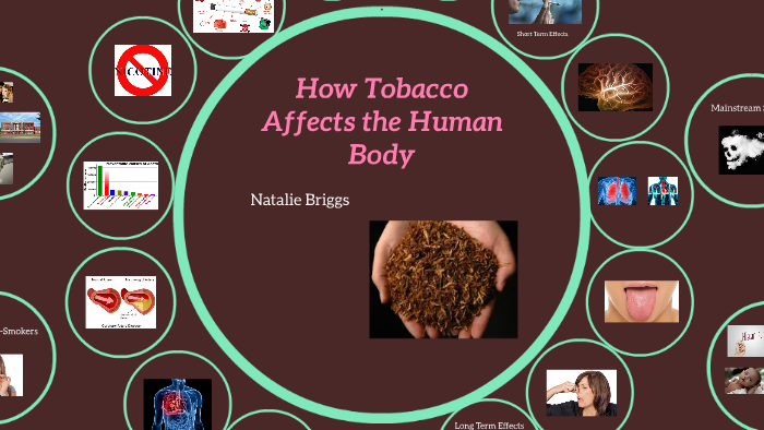 How Tobacco Affects the Human Body by Natalie Briggs on Prezi