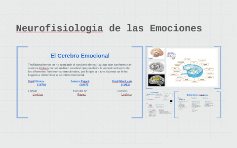 Neurofisiologia de las Emociones by Luis Fernando Ferra Aguilar on Prezi