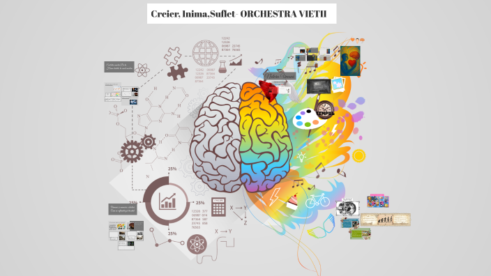 Understanding the Human Brain by Maria Stanciu on Prezi