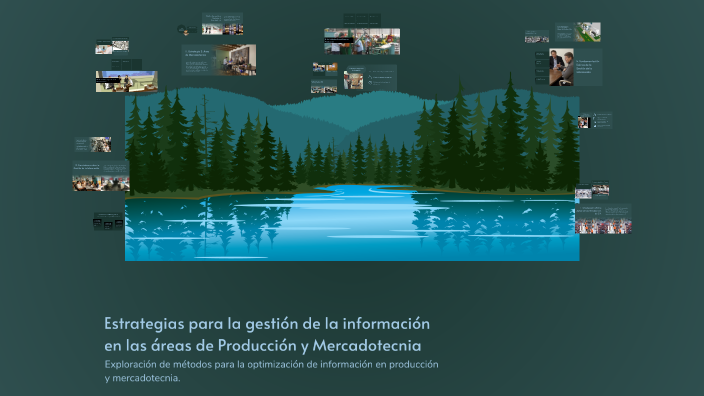 Estrategias para la gestión de la información en las áreas de ...