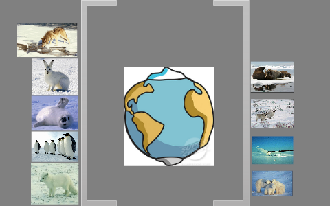 Pooldieren (kleuters) by Michael Boer on Prezi