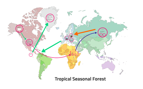 Tropical Seasonal Forest by ethan hartley on Prezi