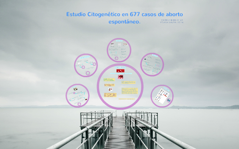 Estudio Citogenético en 677 casos de aborto espontáneo. by Ivy Castillo ...