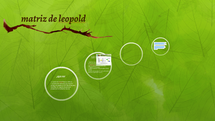 matriz de leopold by Manuela Arango on Prezi