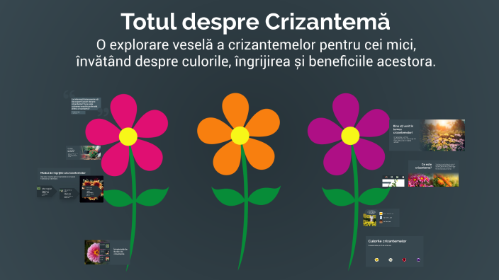 Totul despre Crizantemă by Jana-Monica Enache on Prezi