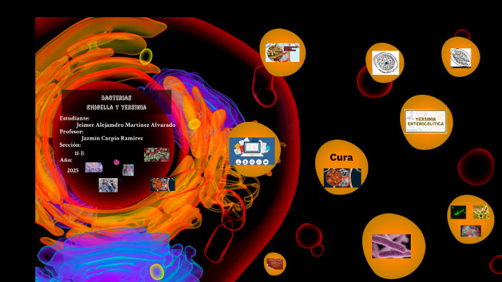 Jeimer OBS Yazmín by JEIMER ALEJANDRO MART NEZ on Prezi