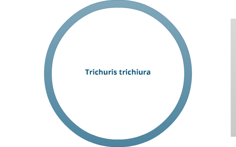 Trichuris trichiura by Haymé Guzmán on Prezi