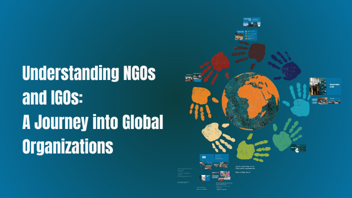 Understanding NGOs and IGOs: A Journey into Global Organizations by ...