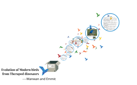 Evolution of Modern birds by Wanwan Qu