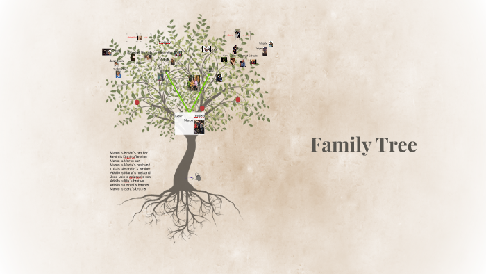 Family Tree by kevin jauregui