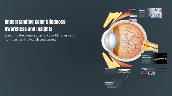 Understanding Color Blindness: Awareness and Insights by Elnaz Ghorbi ...
