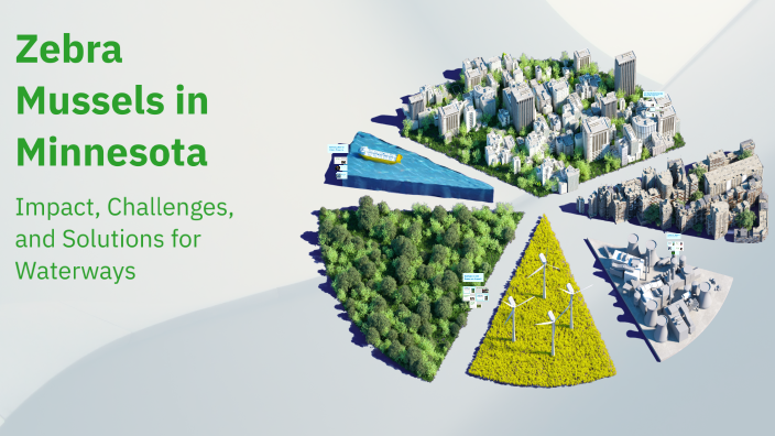 Zebra Mussels in Minnesota by Sean Spanier on Prezi
