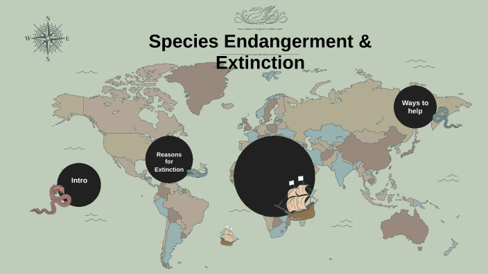 Animal Extinction by Hanna Hagshenas on Prezi