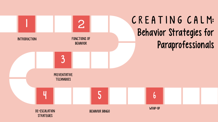 Creating Calm: Behavior Strategies for Paraprofessionals by Adriana Fox ...