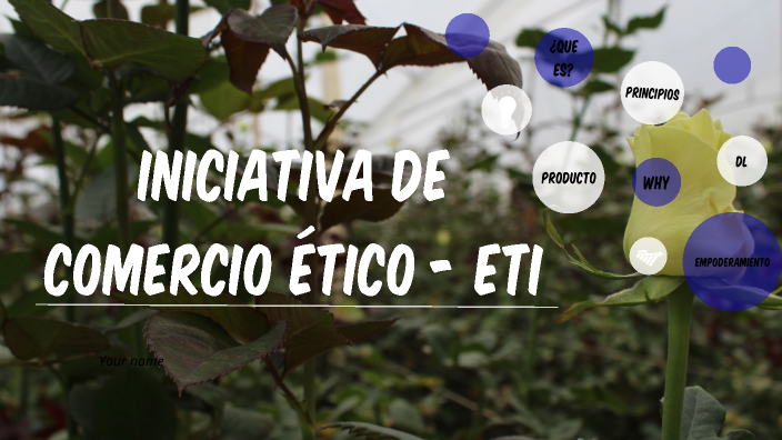 INICIATIVA DE COMERCIO ÉTICO - ETI by laura tatiana parra gomez on Prezi