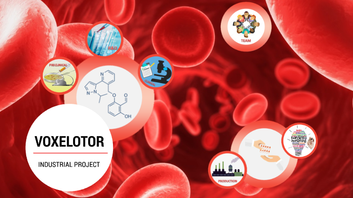 VOXELOTOR by Djaffar Tahir on Prezi