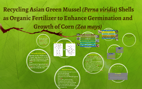 Recycling Asian Green Mussel (Perna viridis) Shells as Organ by John ...