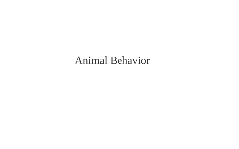 Animal behavior project by Alex Fischer on Prezi