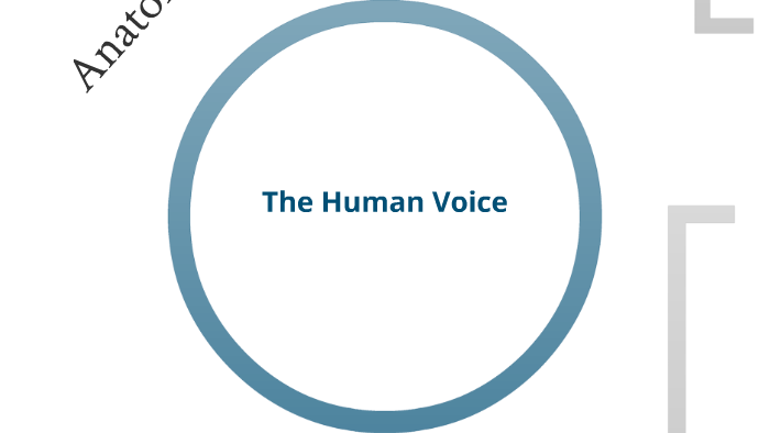 The Human Voice by David E.
