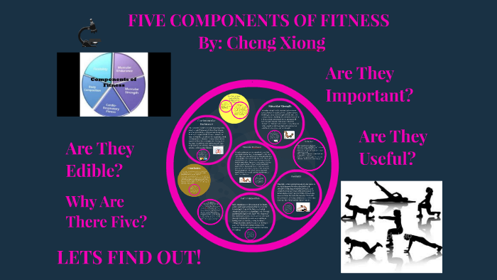 FIVE COMPONENTS OF FITNESS by Cheng Xiong on Prezi