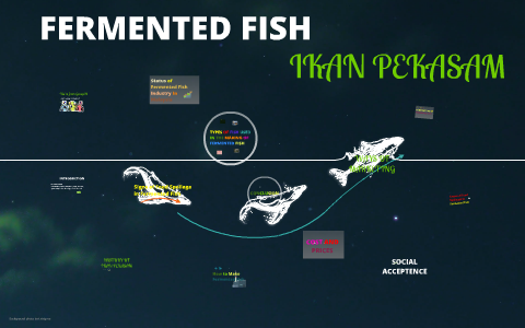 Fermented Fish In Malaysia by Akmal Asyraf on Prezi