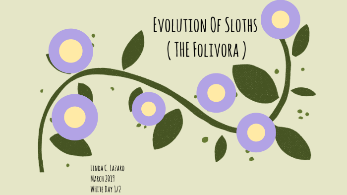 Evolution Of Sloths by Linda Lazaro on Prezi
