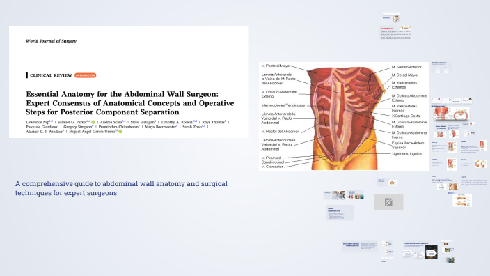 Essential Anatomy for the Abdominal Wall Surgeon: Expert Consensus of ...