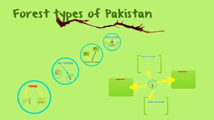 Forest types of Pakistan by Aisha Malik on Prezi