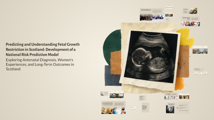 Predicting and Understanding Fetal Growth Restriction in Scotland ...