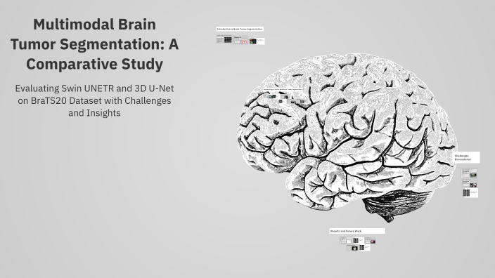 Multimodal Brain Tumor Segmentation: A Comparative Study by Bahar ...
