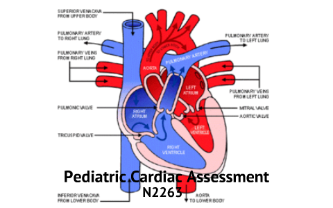 Pediatric Cardiac Assessment by Christina Ko on Prezi