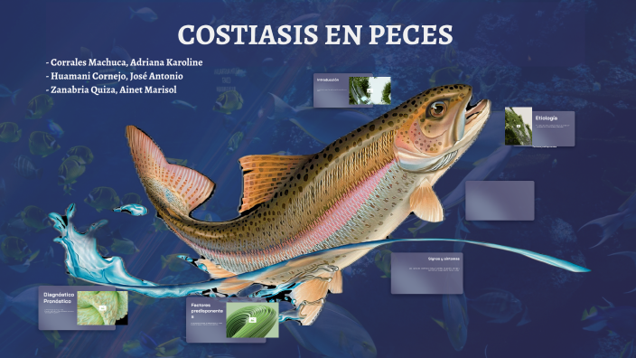 COSTIASIS EN PECES by Ainet Zanabria on Prezi