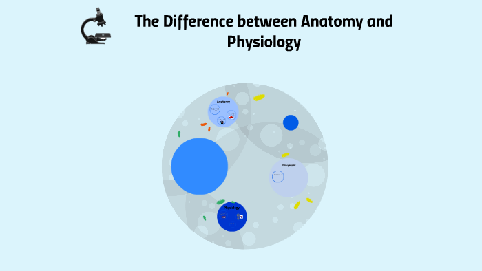 The Difference between Anatomy and Physiology by Jonas Sheehan on Prezi