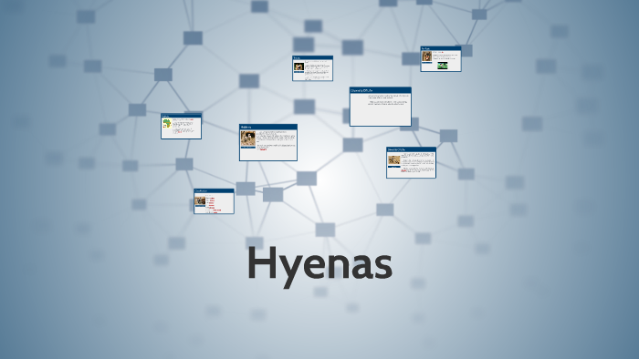 Hyenas by Daniel Staffieri on Prezi