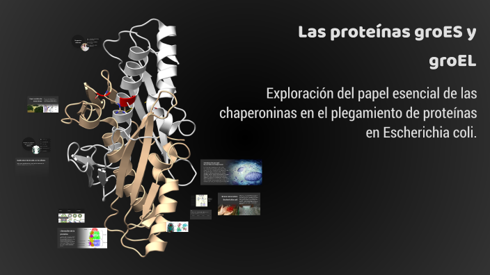 Las proteínas groES y groEL by Paula Salas on Prezi