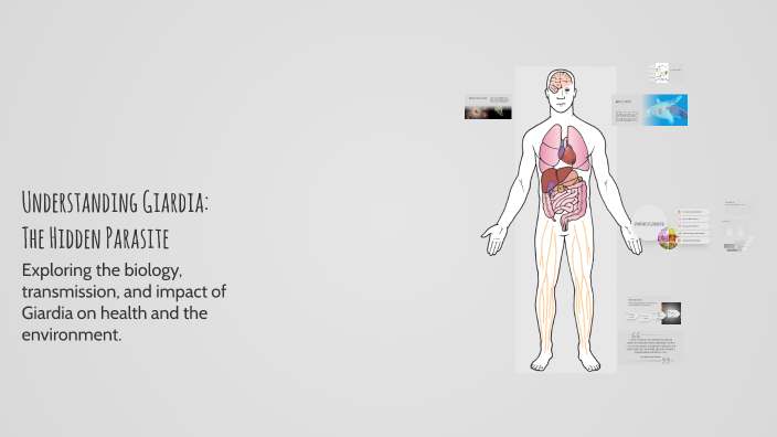 Understanding Giardia: The Hidden Parasite by مقداد on Prezi