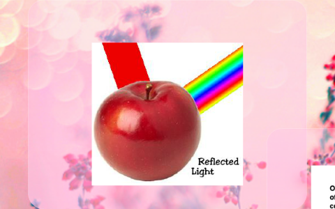 evolution of color vision by maryam mohamed on Prezi