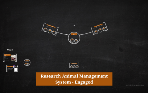 Research Animal Management System - Engaged by Amber Graham on Prezi