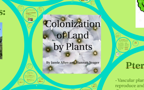 Colonization of Land by Plants by Jamie Allen on Prezi