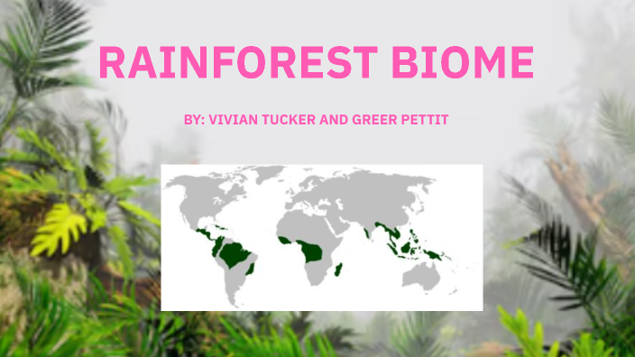 GREER AND VIVI PROJECT by Vivian Tucker on Prezi