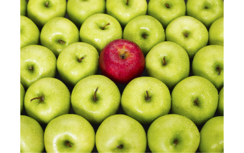 Why do I have to look like everyone else? by Pearce Devlin